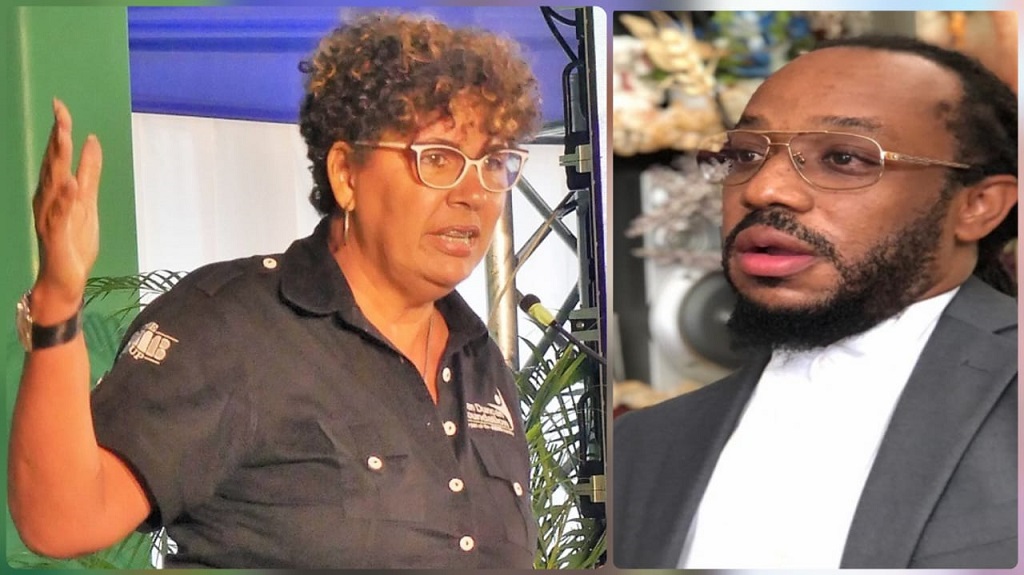 PNP Women's Movement condemns Buchanan in wake of comments on DPP ...