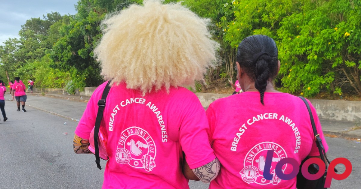 Blind Lion walks for the Cure, loves the experience, purpose - Loop News