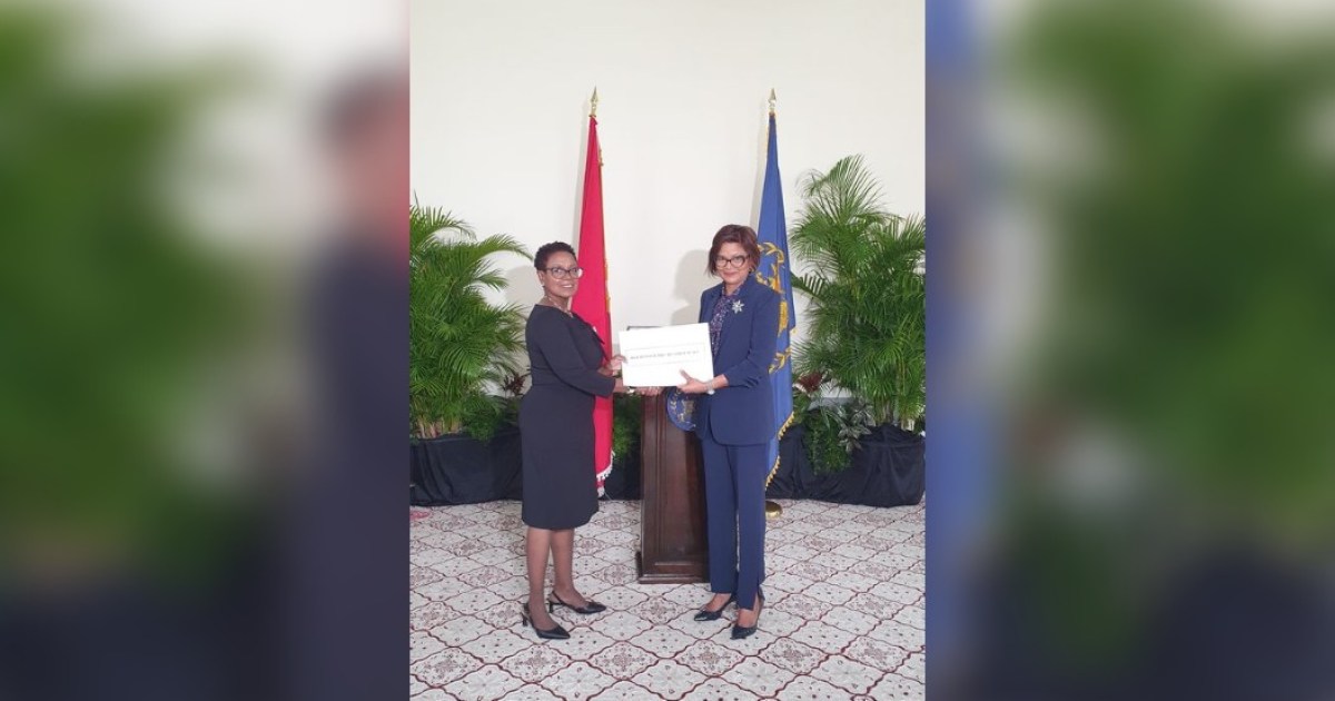 Heather Seale appointed as new Industrial Court President - Loop News