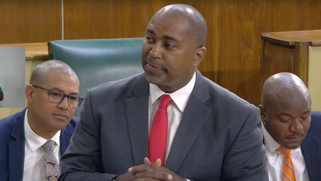 Most Jamaicans' reality is 'hand-to-mouth', says Robinson - Loop News