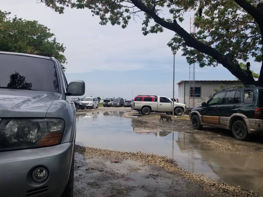 Le Sénat et son parking marécageux - Loop News