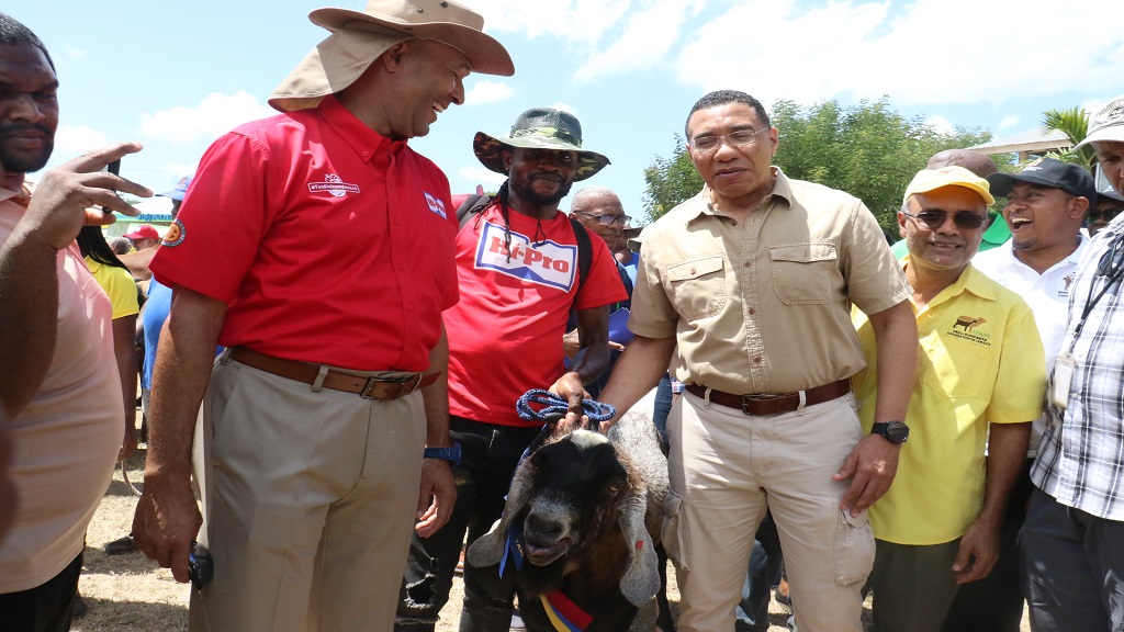 Denbigh 2023 in Pictorial - Loop News