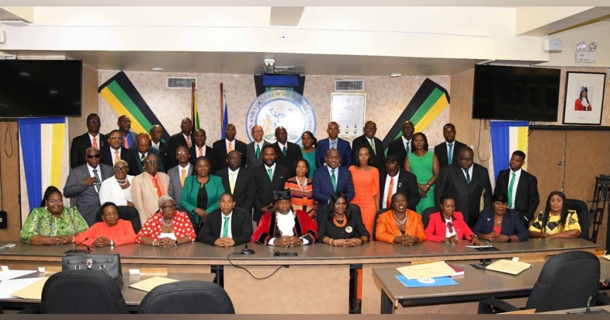 Councillor Andrew Swaby sworn in as new mayor of Kingston - Loop News