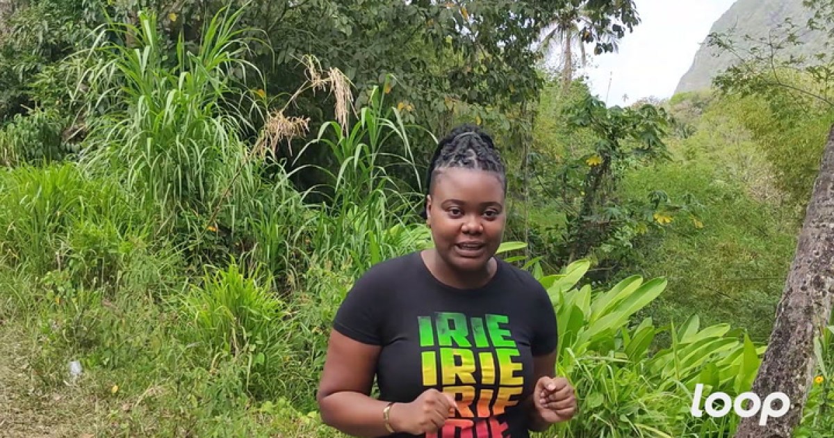 Loop Adventures in St Lucia - Gros Piton Hike - Loop News