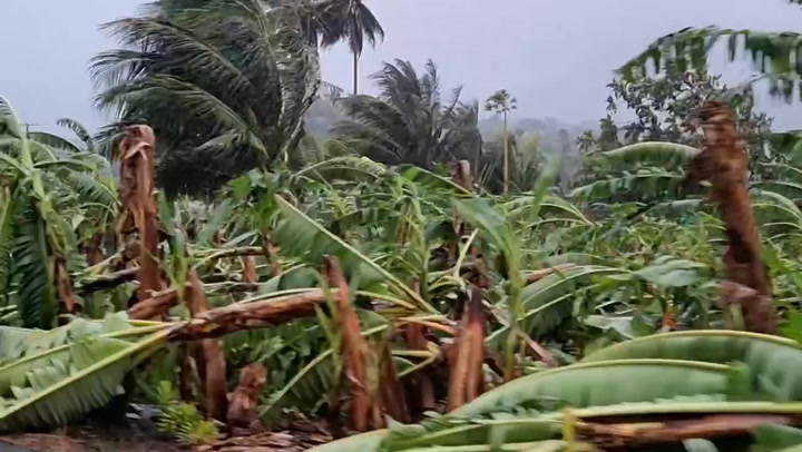 Tropical Storm Bret destroys more than 75% of bananas in Saint Lucia ...
