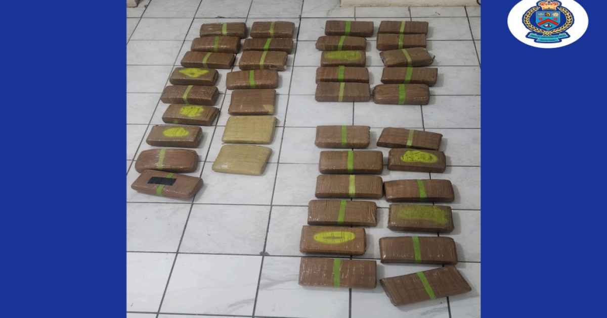 Cannabis contraband discovered at Southeast Peninsula, St Kitts - Loop News