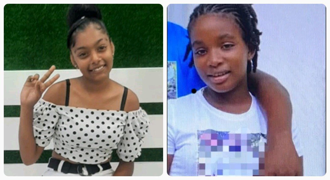 Two young girls reported missing - Loop News