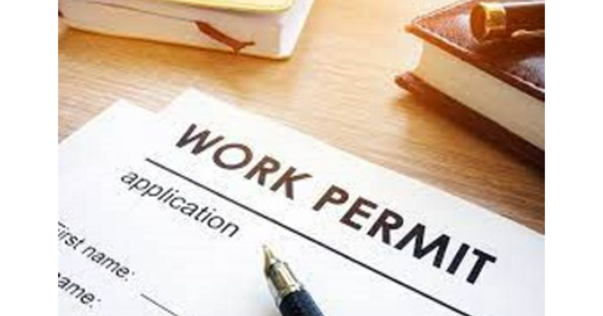 Bermuda: Chamber supports efforts to crack down on work permit abuses ...