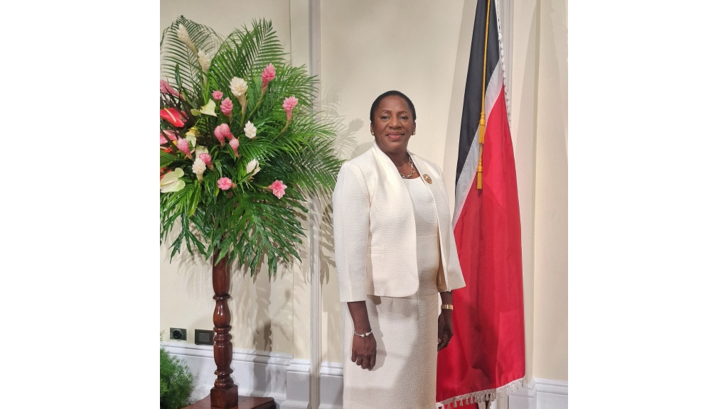 Penny vows to be constructive opposition: ‘We will offer solutions ...