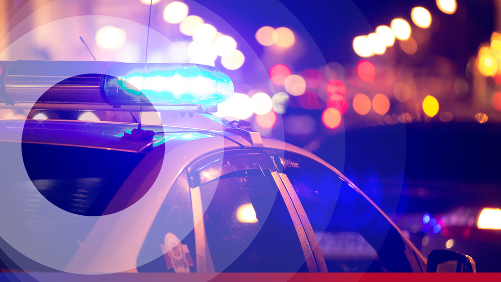 Female robbery suspects nabbed in Barbican with illegal gun - Loop News