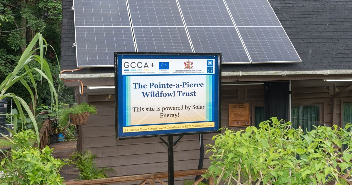 Solar panels installed at Pointe-a-Pierre Wild Fowl Trust - Loop News